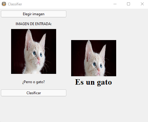 Portfolio Sheila Leyva/myproject